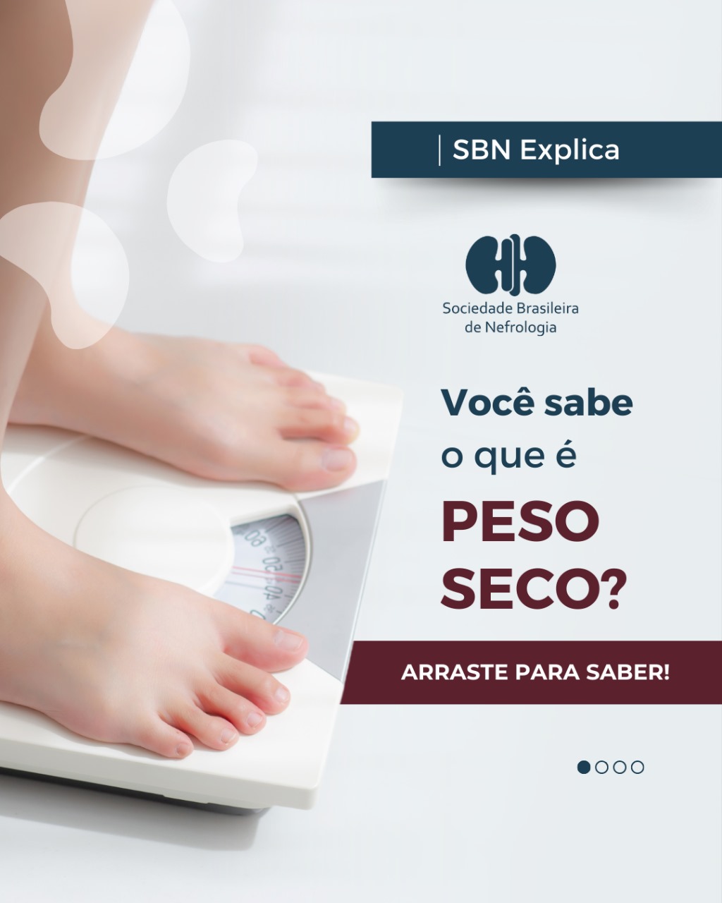 Você sabe o que é peso seco? – SBN